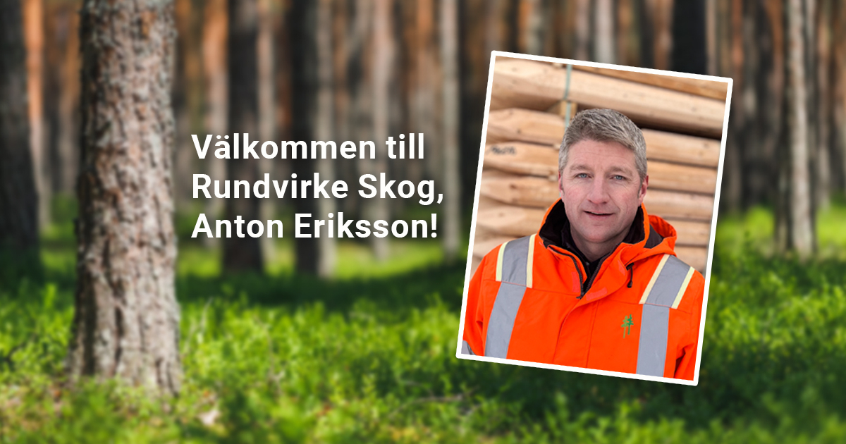 Anton Eriksson stärker upp i skogarna i Västernorrland