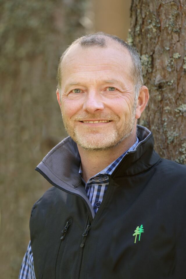 Virkesinköpare Dalarna - Västmanland - Uppland - Rundvirke Skog